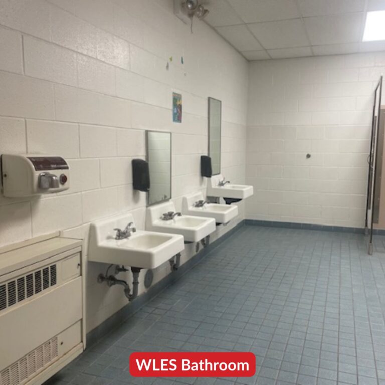 The Whitmore Lake Public Schools 2024 Bond Proposal & Plan