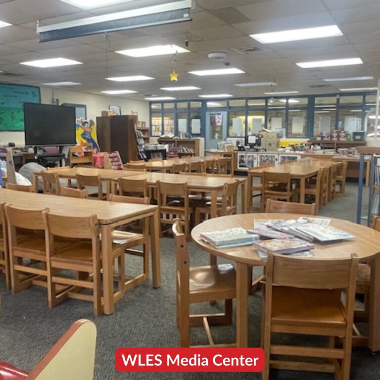 The Whitmore Lake Public Schools 2024 Bond Proposal & Plan